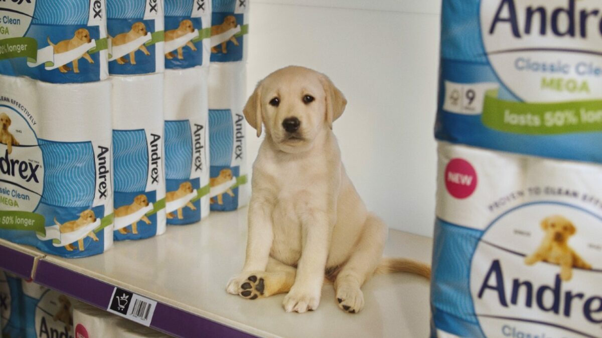 Andrex celebrates 80th anniversary with extensive brand campaign by FCB ...