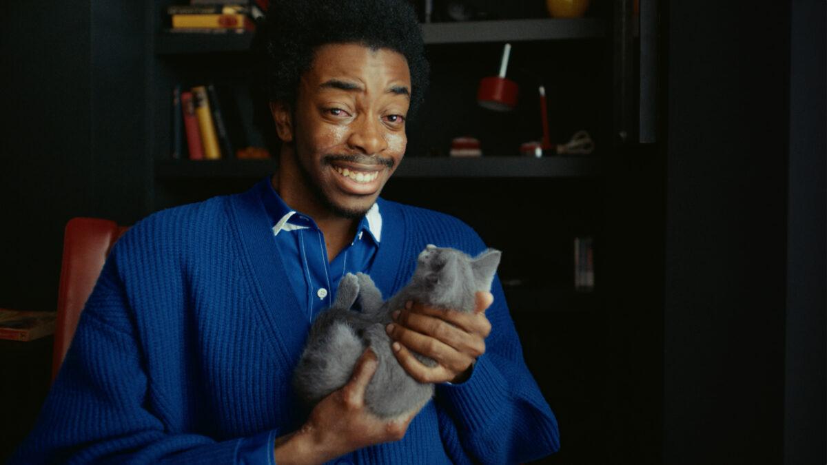 Love hurts: Sheba unveils ode to allergic cat owners in latest TV ...