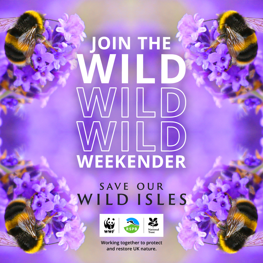 RSPB unveils new campaign to fight Britain's plummeting biodiversity ...