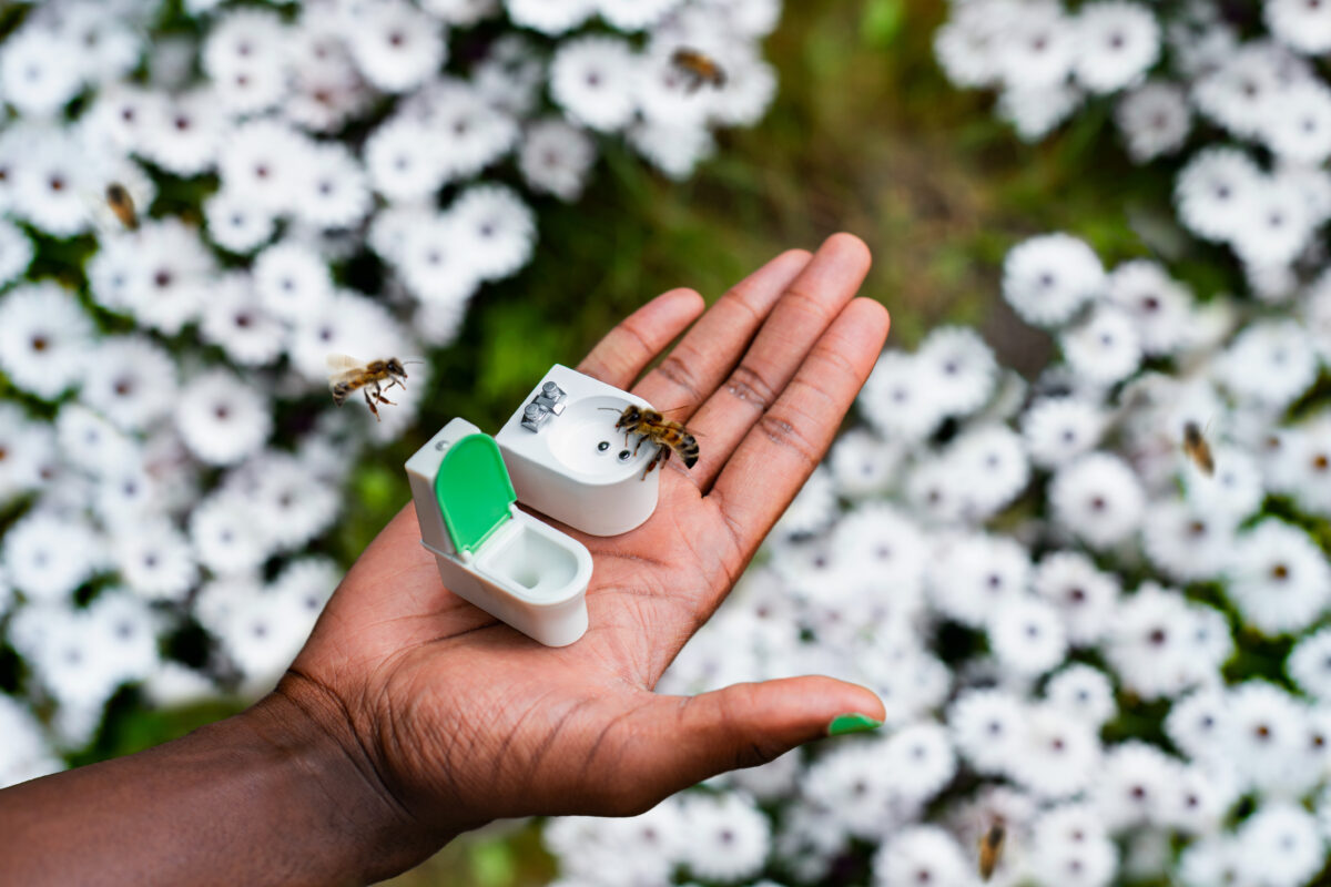 Mini bidets create a buzz for World Bee Day 2023