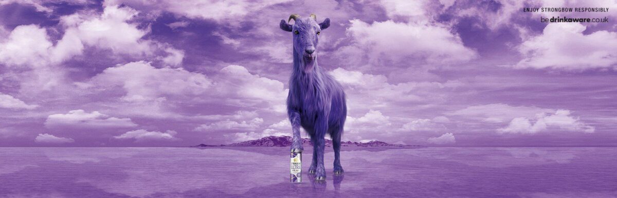 Purple Goat and Strongbow's blueprint for disabled inclusion