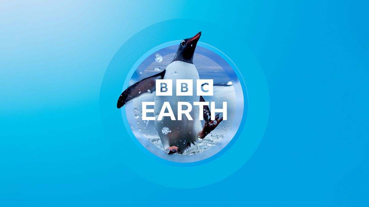 BBC Earths opens 'window to the world' in creative rebrand