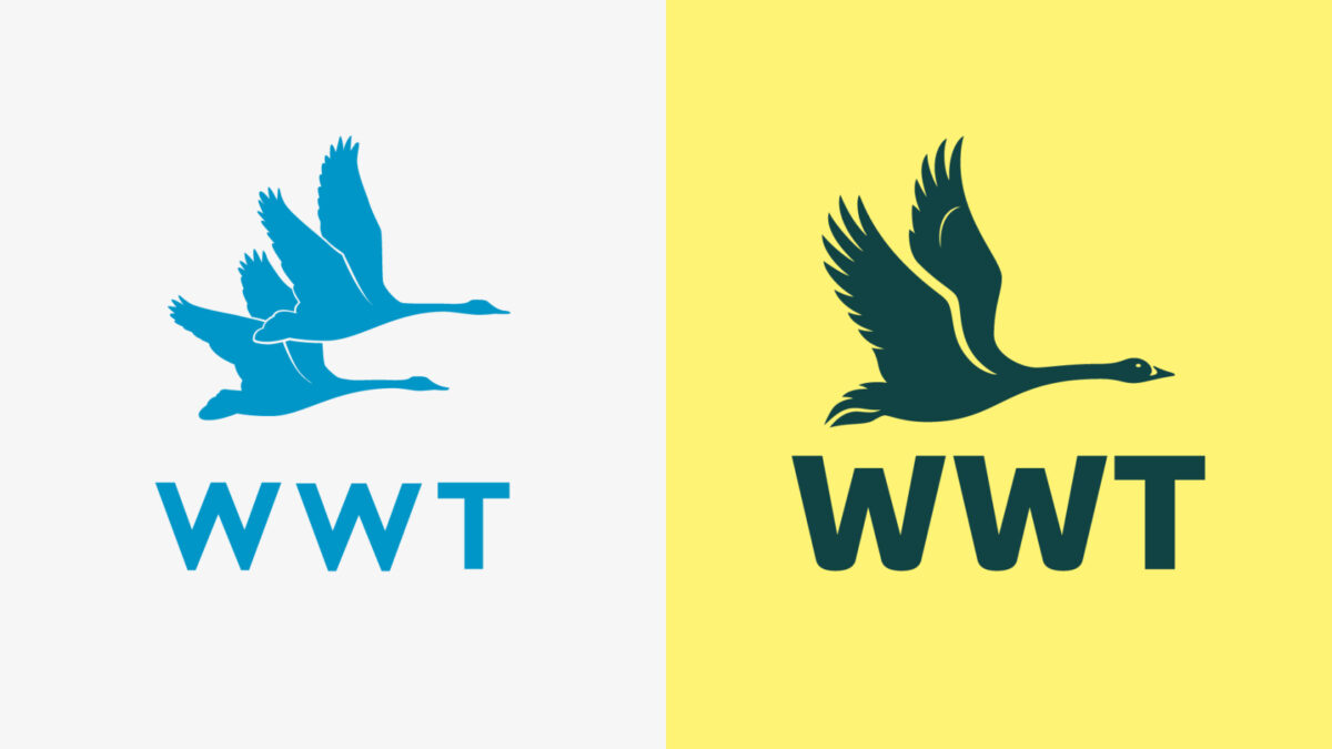 WWT gets 'new lease of life' with rebrand on World Wetlands Day