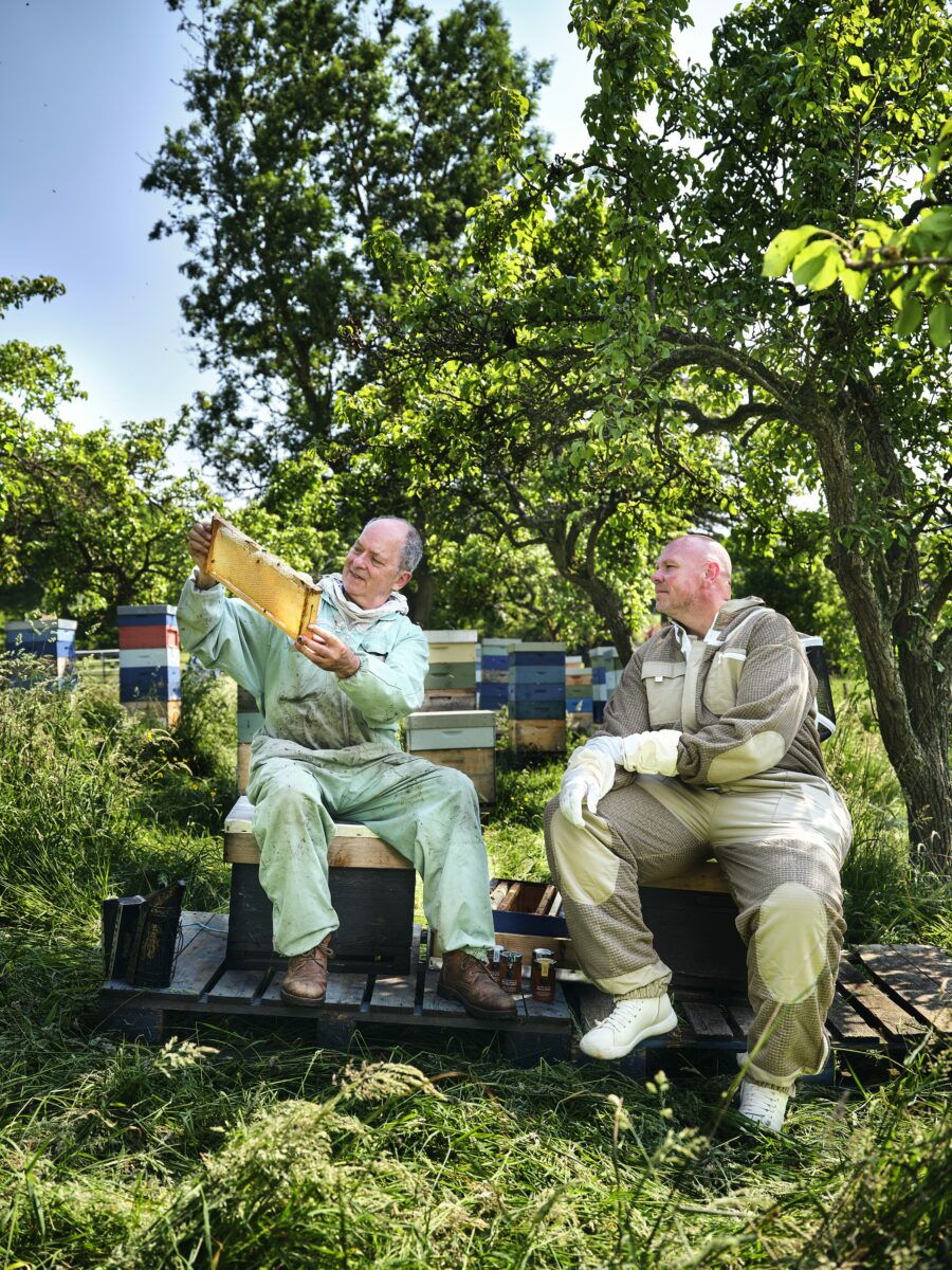 M&S Food celebrates quality with biggest-ever marketing campaign