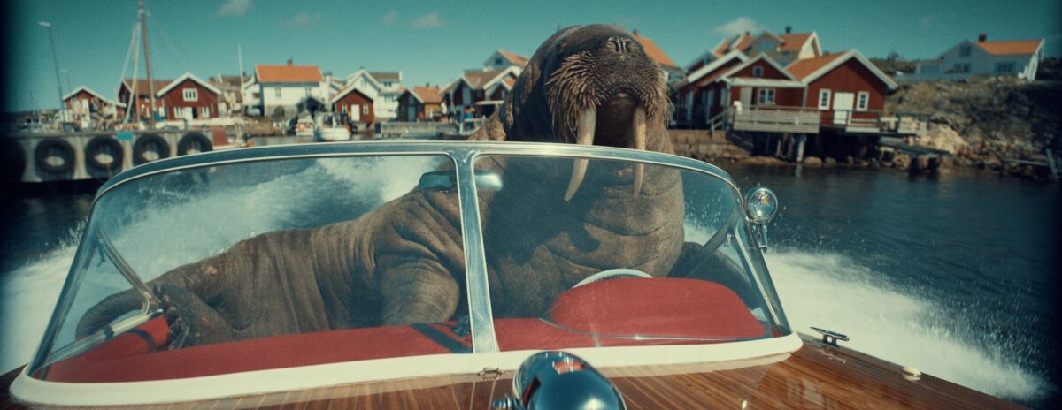 CG-animated Walrus commandeers speedboat in latest Virgin Media ad